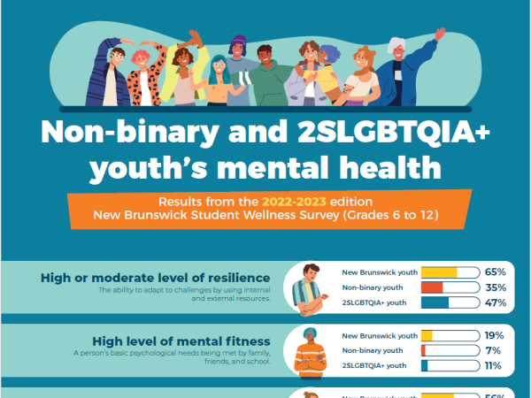 Access to Addiction and Mental Health Services | New Brunswick Health Council